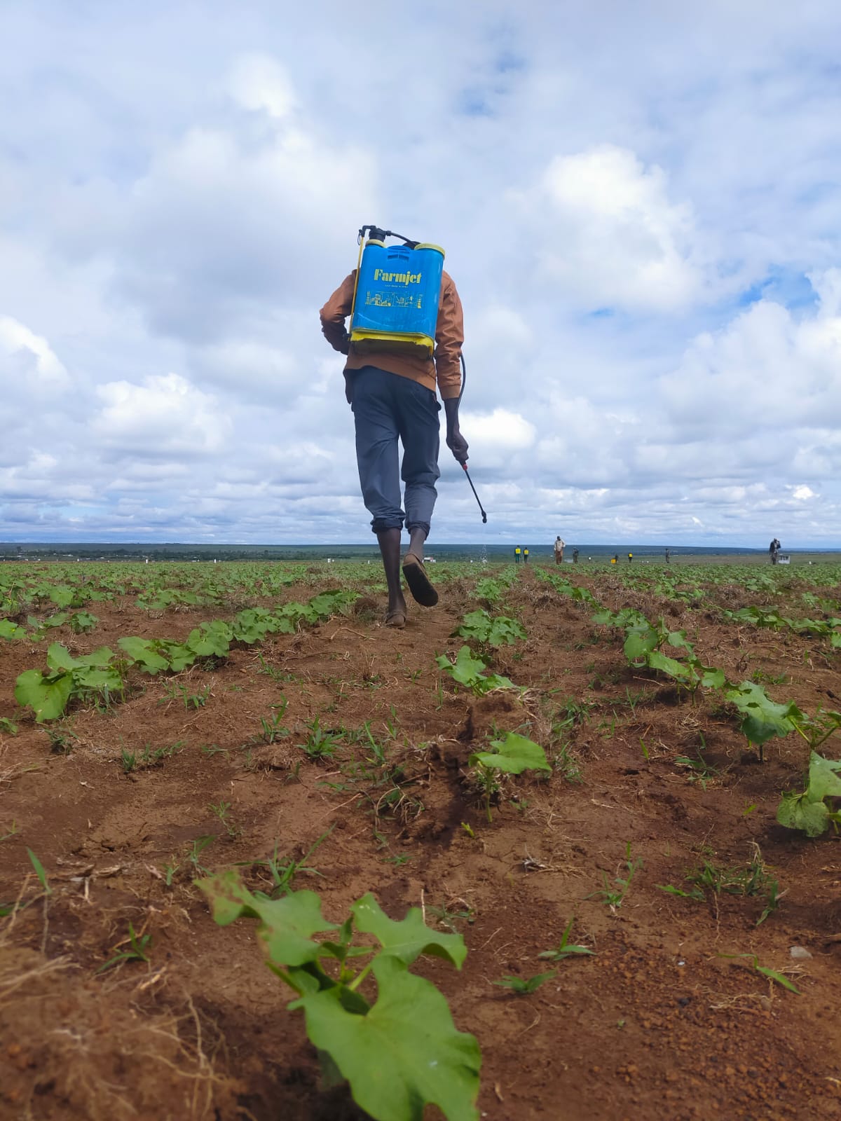 Joe Kariuki, Kenya's GPC Company Nominated For Top African Farming Award